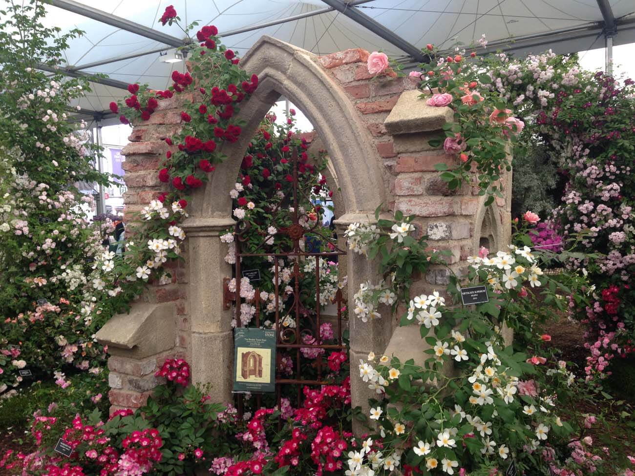 Redwood Stone - Other Shows - Love Your Garden - Peter Beales Roses